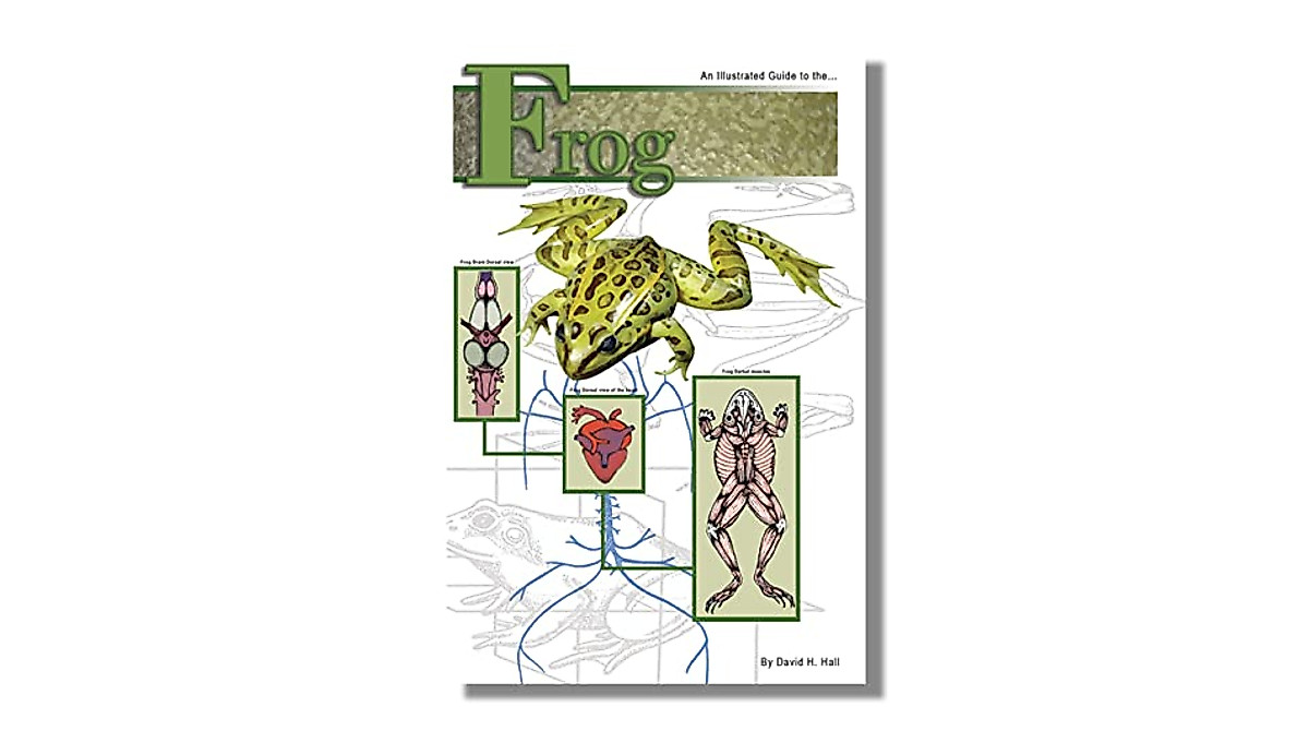 Anatomy Lab Frog Dissection Guide for Students