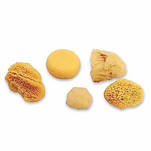 Natural Sea & Synthetic Sponges - Assorted Sizes 7pc Value Pack for Crafts & Artists: Great for Painting, Hobbies, Art, Effects, Ceramics, Clay, Pottery by Lullingworth®