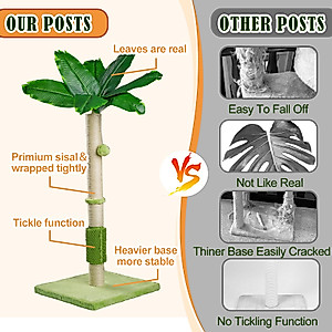 MeowHomm 40" Tall Cat Scratching Post,Cat Bird of Paradise Palm Tree for Indoor Cats with Natural Sisal Scratch Pole Hanging Sisal Ropes and Balls