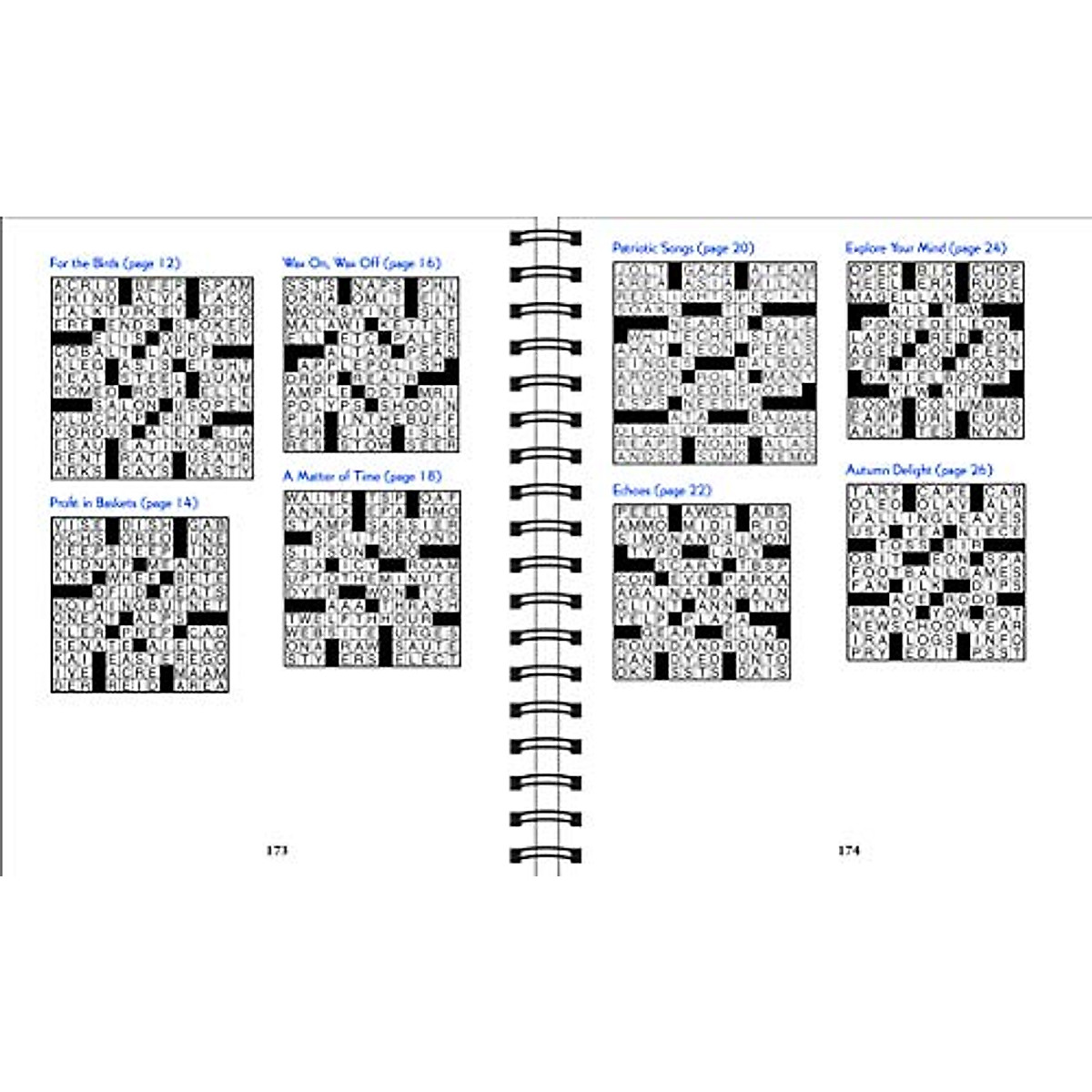 Brain Games - Crossword Puzzles - Large Print (Blue)