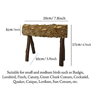 Bird Training Stand Portable Tabletop Bird Natural Wood Perch Training Perch Parrot Training Playground Bird Cage Toys Accessories for Small Parakeet Cockatiel Budgie
