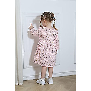 Toddler Girl Dress Fall Winter Clothing Kids Long Sleeve Ruffle Skirt Outfits Floral Dresses (Pink, 2-3T)