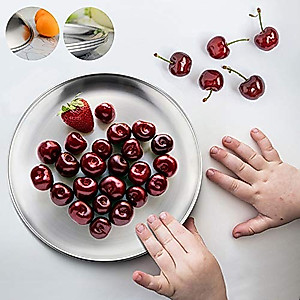 HaWare 6-Piece 18/8 Stainless Steel Plates, Metal 304 Dinner Dishes for Kids Toddlers Children, 8 Inch Feeding Serving Camping Plates, Reusable and Dishwasher Safe