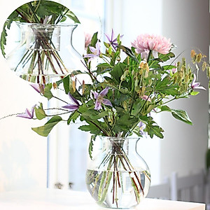 Spiral Ikebana Stem Holder, Spiral Stem Holder for Vases, Spiral Flower Stem Holder, Spiral Stem Holder Ring, Spiral DIY Floral Art Accessory Flower Arrangement Holder (Clear,S+ L)