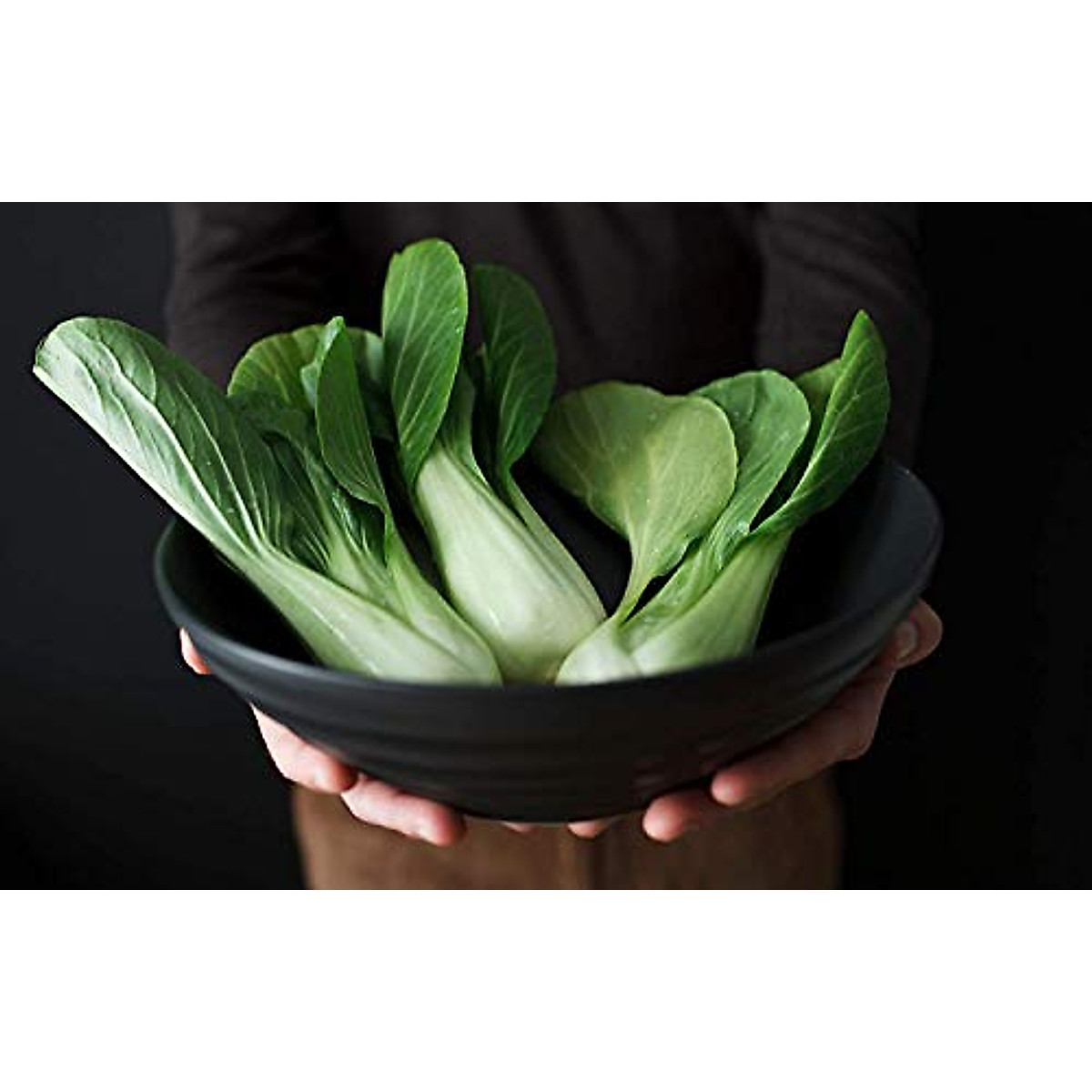 Gaea's Blessing Seeds - Bok Choy Seeds (2.0g) Canton Pak Choi Chinese Cabbage Non-GMO Seeds with Easy to Follow Planting Instructions - Heirloom 90% Germination Rate
