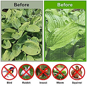 4 Pcs Garden Netting Mosquito Netting Plant Covers Bird Netting Mesh Netting for Garden Row Cover Plant Netting Garden Barrier Netting for Protect Vegetable Plants Fruits Flowers (10 x 20 ft)