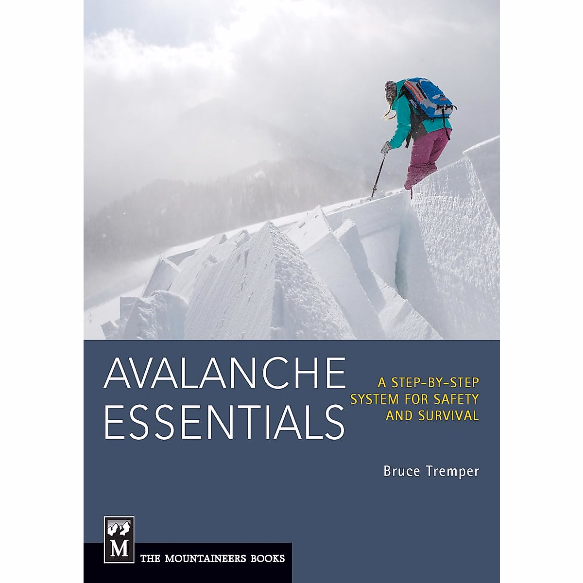 Avalanche Essentials: A Step-by-Step System for Safety and Survival