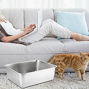 Generic Cat Litter Box Metal Kitten Litter Pan Top Open Sturdy Rustproof Smooth Surface and Easy to Clean Kitten Potty Pan Rounded Corners, 60x40x15cm