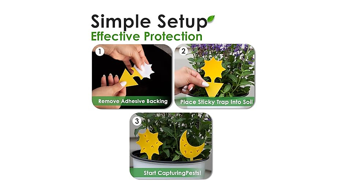 Classy Casita Yellow Sticky Traps - Pest Control for Plants