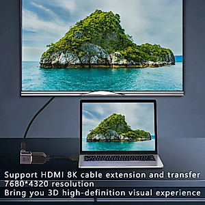 GINTOOYUN 8K Mini HDMI to Standard HDMI Adapter 2.1 Version Mini HDMI Male to Down Angle 90 Degree HDMI Female Extension Adapter for Camera,Laptop,Tablet,HDTV,Projector 2 PCS(Down Angle)