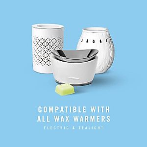 Febreze Wax Melts, Wax Melt Warmer Cubes, Wax Warmer Cubes, Gain Original Scent, 6 packs, 6 cubes each, Air Freshener