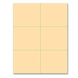 NextDayLabels - Laser Printer Blank Perforated Cards 6 up per Page, for School Registration Cards, Flower Delivery Cards, Inventory Tags, RSVP Cards, Trip Tickets, ETC. (Manila, 1200 Cards)