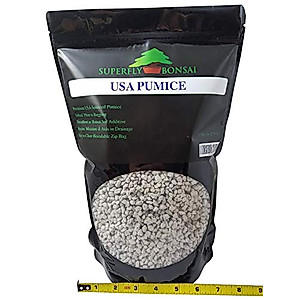 Bonsai, Cactus & Succulent Pumice - Professional Sifted and Ready to Use American … (2.5 Dry Quart)