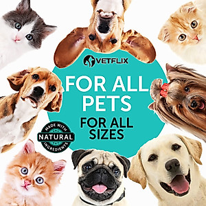 Premium Probiotics for Dogs & Cats - Digestive Enzymes & Prebiotics Supplement - Helps to Relieve Diarrhea, Vomiting, Upset Stomach, Gas, Constipation & Bad Breath - Supports Healthy Digestive System