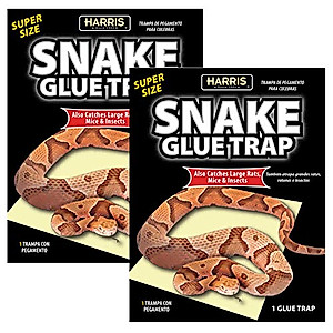 Harris Snake Glue Trap, Super Sized for Snakes, Rats, Mice and Insects (2-Pack)