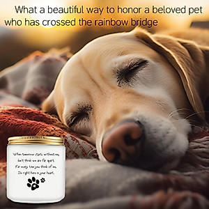 Dog Memorial Gifts for Loss of Dog, Dog Bereavement Gifts, Loss of Dog Sympathy Gift, Pet Memorial Gifts for Dogs Cats, Dog Passing Away Gifts, Pet Loss Gifts, Sympathy Candle Gift for Friends Familes