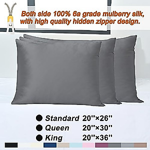 BIGHAS 100% Mulberry Silk Pillowcase for Hair and Skin with Hidden Zipper, Soft Breathable Natural Both Side 19 Momme Silk, 600 Thread Count (Beige, Standard)