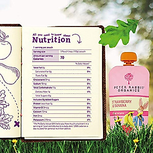 Peter Rabbit Organics Strawberry and Banana Pure Fruit Snack, 4 Ounce(Pack of 10)