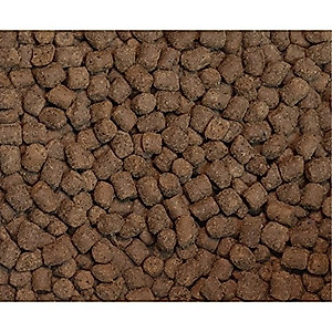 Wysong Ferret Epigen 90 Digestive Support - Starch Free Dry Natural Food for Ferrets,5 Pound (Pack of 4)