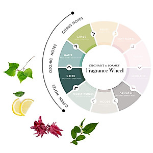 Gilchrist & Soames Shampoo (Zero% Collection Shampoo, 15.5oz)