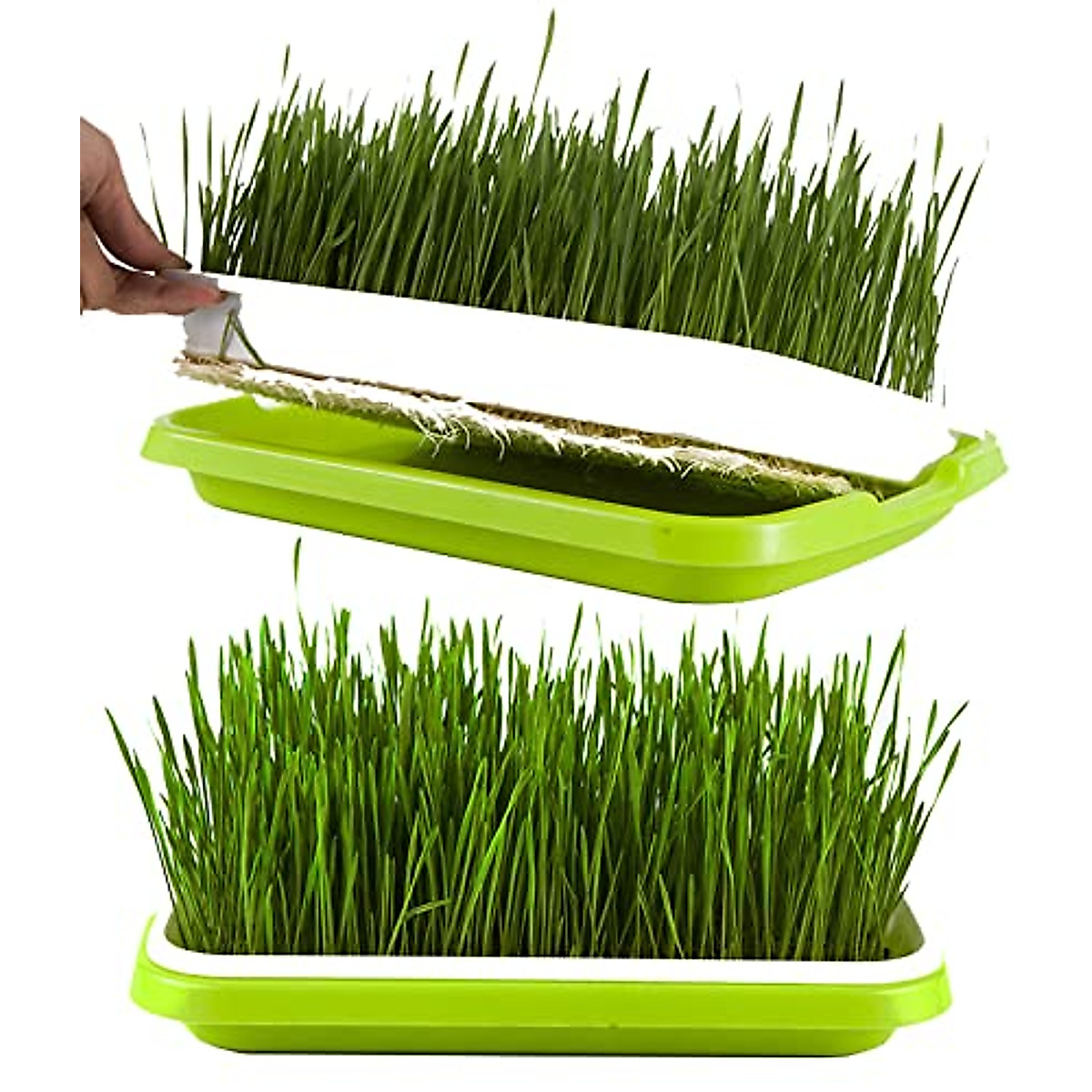 3 Layers Seed Sprouting Kit with 6-Pack Seed Sprouter Tray BPA Free for Alfalfa Sprouts Wheatgrass Grower Sprouting, Stainless Steel Shelf Seed Sprouting Tray