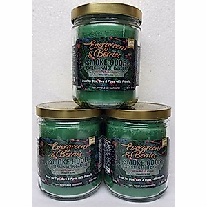 Smoke Odor Exterminator 13oz Jar Candles (Evergreen & Berries, 3)