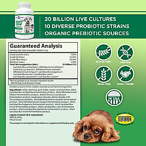 Vital Planet - Flora Dog Probiotic Chewable Tablets Supplement with 20 Billion Cultures and 10 Strains, High Potency Immune and Digestive Support Probiotics for Dogs, 30 Beef Flavored Chewable Tablets