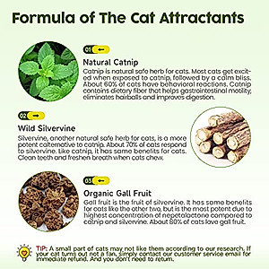 Potaroma Catnip Toys, 3Pcs Cat Toys Natural Silvervine Stick Cage Balls & Bell Ball for Indoor Cats, Kitten Cleaning Teeth Molar Tools Matatabi Cat Chew Toy