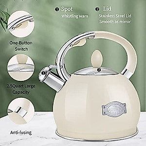 RETTBERG Tea Kettle for Stovetop Whistling Tea Kettles Retro Black Stainless Steel Teapots, 2.64 Quart (Cream)