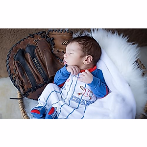 Let's Play Baseball! A Lift-a-Flap Board Book for Babies and Toddlers