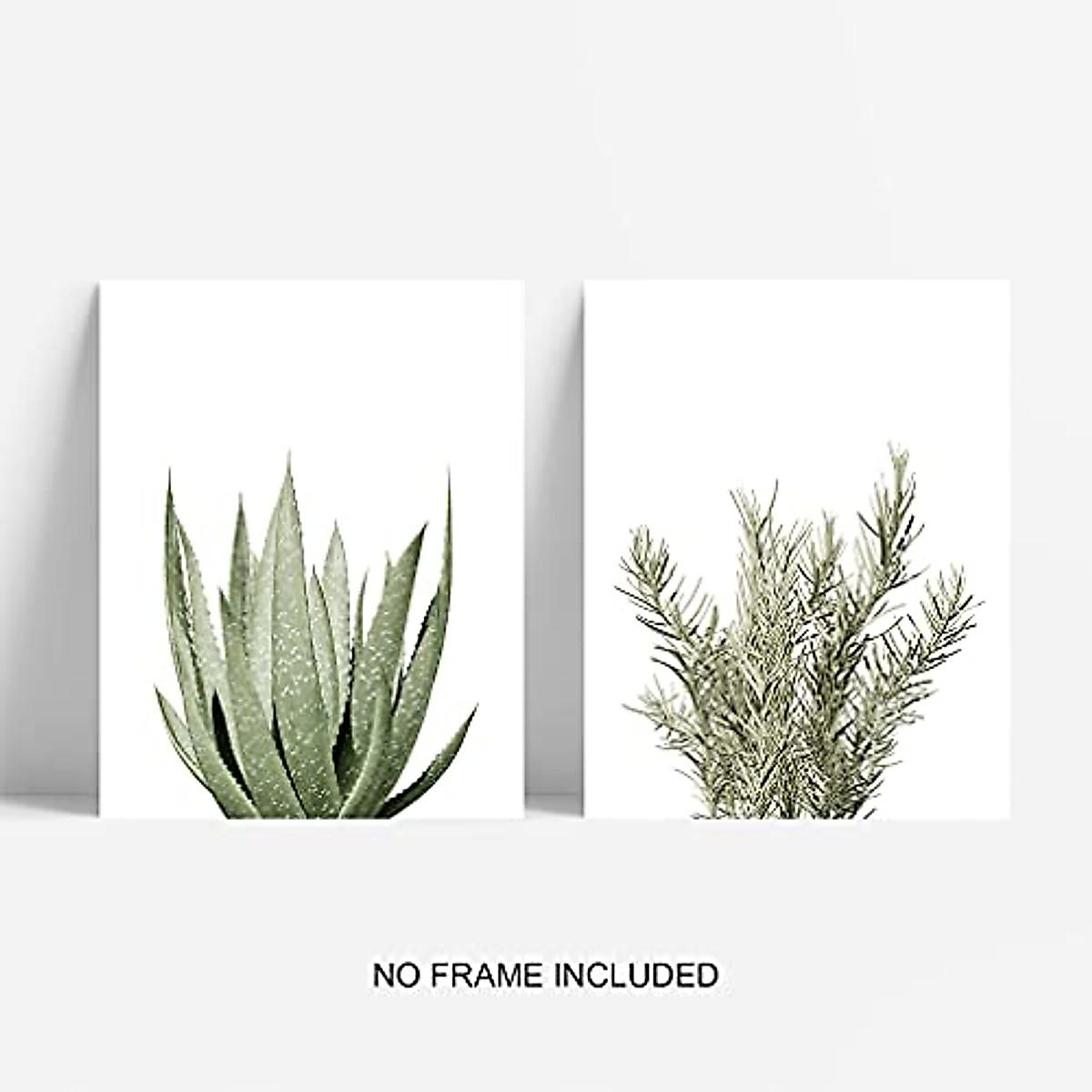 Botanical Plant Wall Art Prints, Cactus Wall Art, Minimalist Wall Art, Boho Wall Decor, Plant Wall Decor, Green Leaves Eucalyptus Pictures Posters, Bathroom Wall Decor, Kitchen Wall Decor (Set of 6, 8X10in, Unframed)