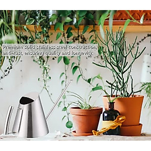 Watering Can for Indoor Plants, 400ML Small Watering Can Modern Style Stainless Steel Long Spout Watering Pot, Plant Waterer Watering Can Indoor Plants Flower, for Home Office Gardening Bonsai