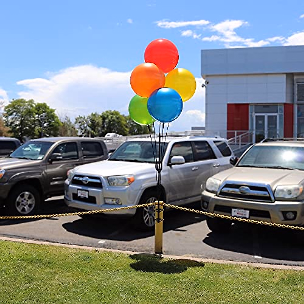 DuraBalloon - Weatherproof Reusable Balloon Cluster Pole Kit - Helium Free Plastic Outdoor Balloons