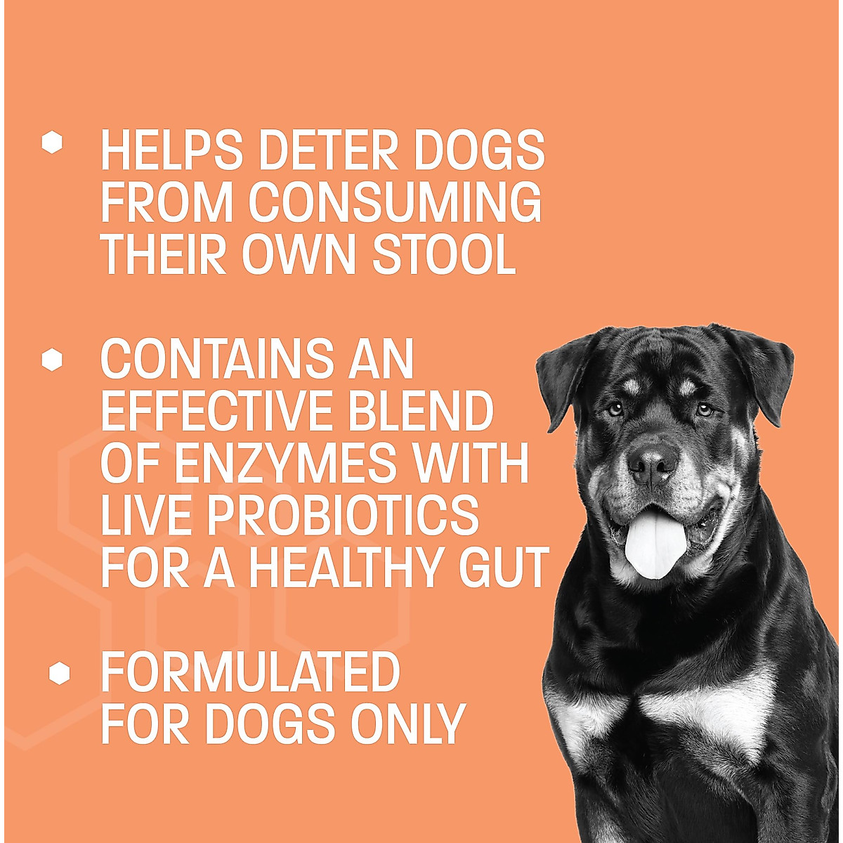Pet Health Pros Coprophagia Stool Eating Deterrent for Dogs Eating Poop - Soft Chews to Stop Eating Poop for Dogs - No Poop Eating for Dogs w/Digestive Enzymes, Probiotics & Breath Freshener - 60 ct