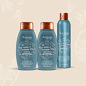 Aveeno Scalp Soothing Rose Water & Chamomile Blen Shampoo & Conditioner for Sensitive and Soft, Sulfate Free, No Dyes or Parabens, 1 Set