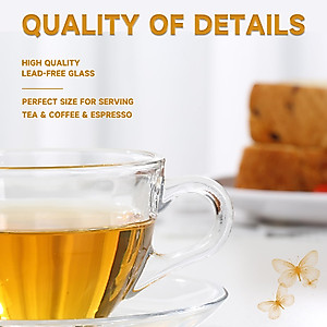 GURUDAR Glass Teacup and Saucer Set, 6 Pack Coffee Mug with Stainless Steel Spoon Suitable for Espresso Juice Cappuccino and More Beverage, 7OZ/210ML, Clear