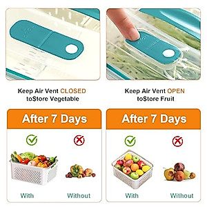 DOPHCOZFFY Airtight Fruit Storage Containers for Fridge with Removable Colander, Dishwasher Safe Produce Saver Container for Refrigerator (3 PCS fruit storage containers)