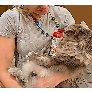 Bench & Field Holistic Natural Healthy Kitty Cat Treats | Crunchy Fish-Shaped Bites | Delicious Seafood Flavored Snack, 3-Ounce (Pack of 3 Bottles)