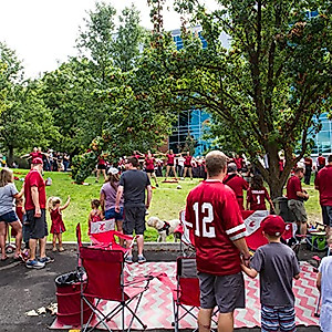 Murai - (Pack of 22) Soda Variety Pack | 8 Multi Flavors Soft Drink Bundle | Assortments of Cola, Pepsi, Sprite, Mountain Dew, Dr. Pepper, Sunkist, Canada Dry Ginger Ale, Brisk Iced Tea | The Beverage Care Package