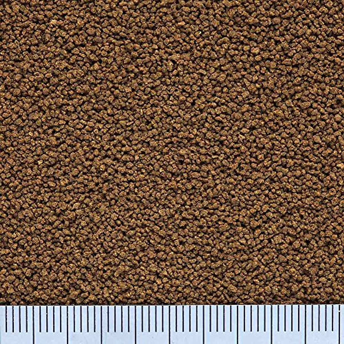 KYORIN Hikari Food for Medaka (for Breeding) [130g] (Japan Import)