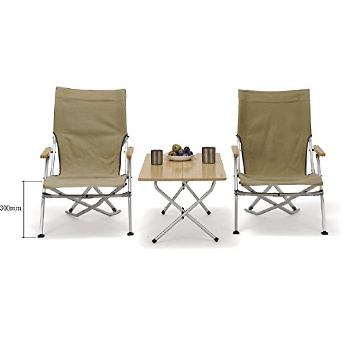 Snow Peak Beach Chair, Collapsible Camping Chair for Campsite, Beach Patio