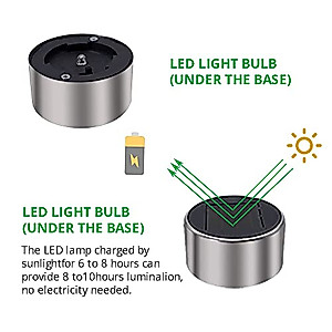 Dream Master Solar Lights Outdoor, Stainless Steel LED Landscape Lighting Solar Powered Outdoor Lights Solar Garden Lights for Pathway, Walkway, Patio, Yard, Lawn - 12 Pack