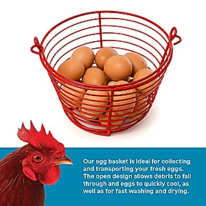 Prevue Pet Products 8 Inch Red Egg Basket 468