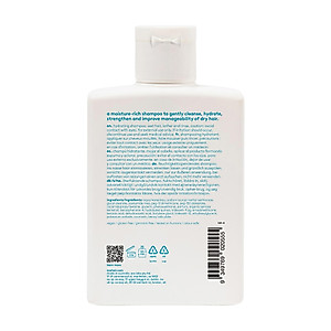 EVO The Therapist Hydrating Shampoo - Hydrates, Strengthen and Softens Whilst Improving Shine - Protects Colour Treated Hair, Helps to Detangle - 300ml / 10.1fl.oz