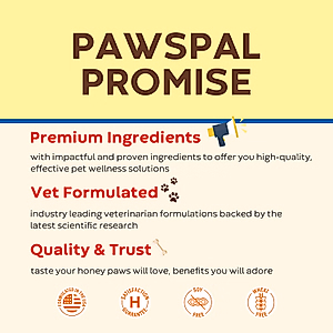 Probiotics for Dogs and Cats, 5 Billion CFU, Veterinarian Formulated, Digestive & Immune Health, Gut Flora Balance, All Natural Probiotic Powder, Chicken Liver Flavor, 20 Sticks