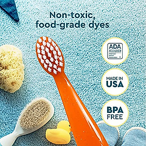 RADIUS Totz Toothbrush Extra Soft Brush BPA Free & ADA Accepted Designed for Delicate Teeth & Gums for Children 18 Months & Up - Green Coral Yellow - Pack of 3