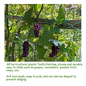 Trellis Netting Kit for Climbing Plants, Heavy Duty Durable Garden Trellis Netting for Vines Cucumbers Grape, 65' Twist Ties &18 Pcs Plant Clips &12 Pcs Adjustable Plant Ties (6.5x16.5Ft, 4" Mesh)