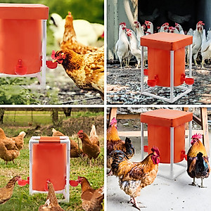 Chicken Feeder and Waterer Combo, 17.6LBS Four Chicken Feeder Ports & 2.64 Gallon Four Automatic Fill Waterer Cups Birds Poultry Feeding Equipment for up to 20 Adult Chickens