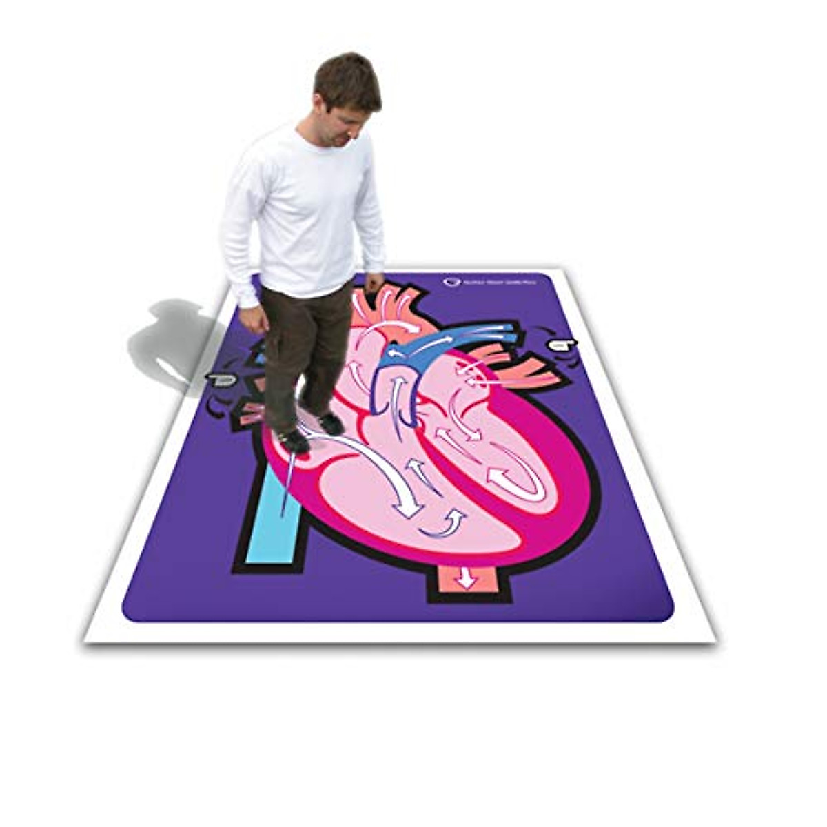 American Educational Human Heart Walk-Thru Mat, 60" Length x 50" Width