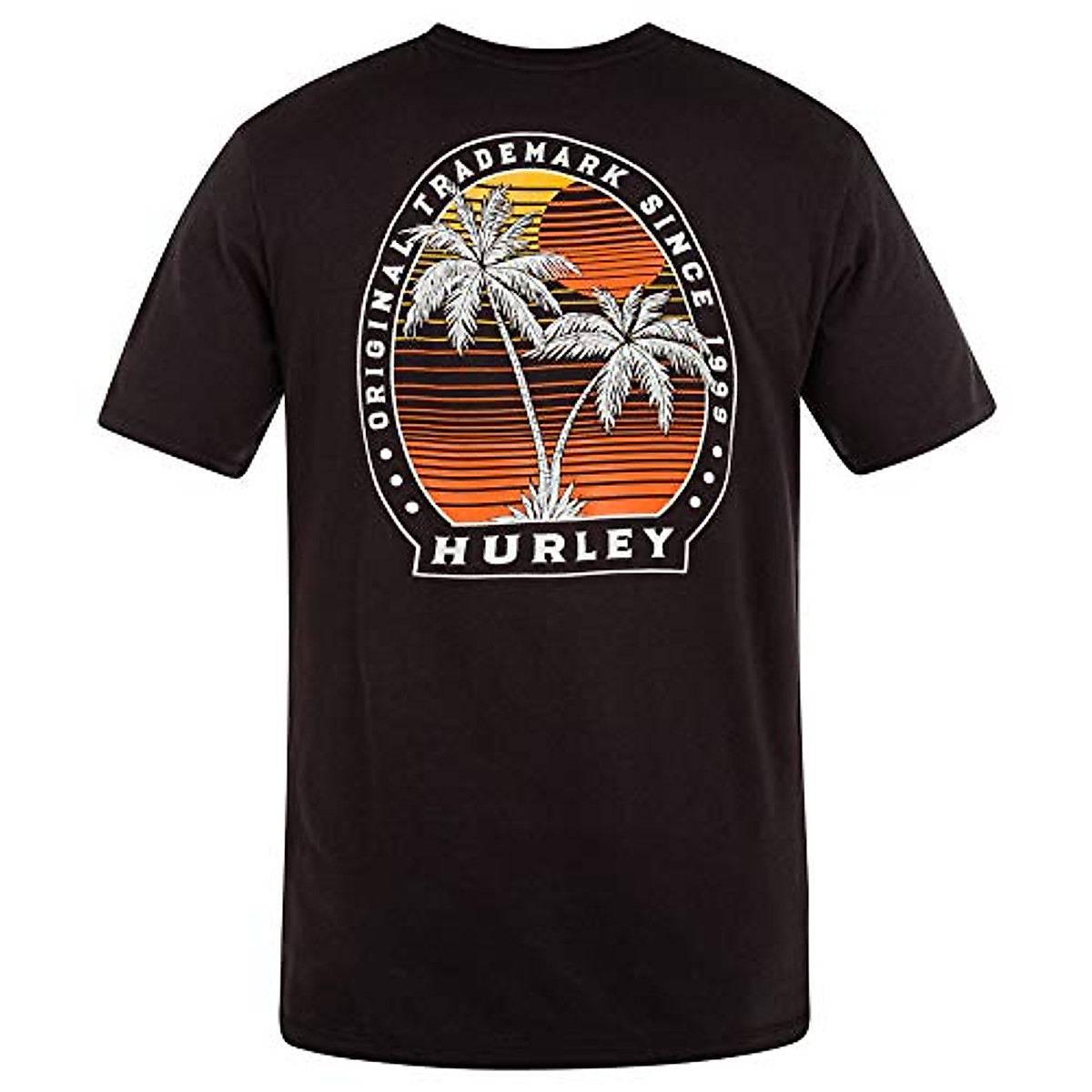 Hurley Men's Everyday Washed Graphic T-Shirt